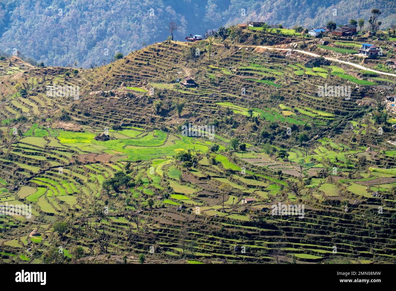 Nepal, Parbat District, Bajung Stock Photo - Alamy