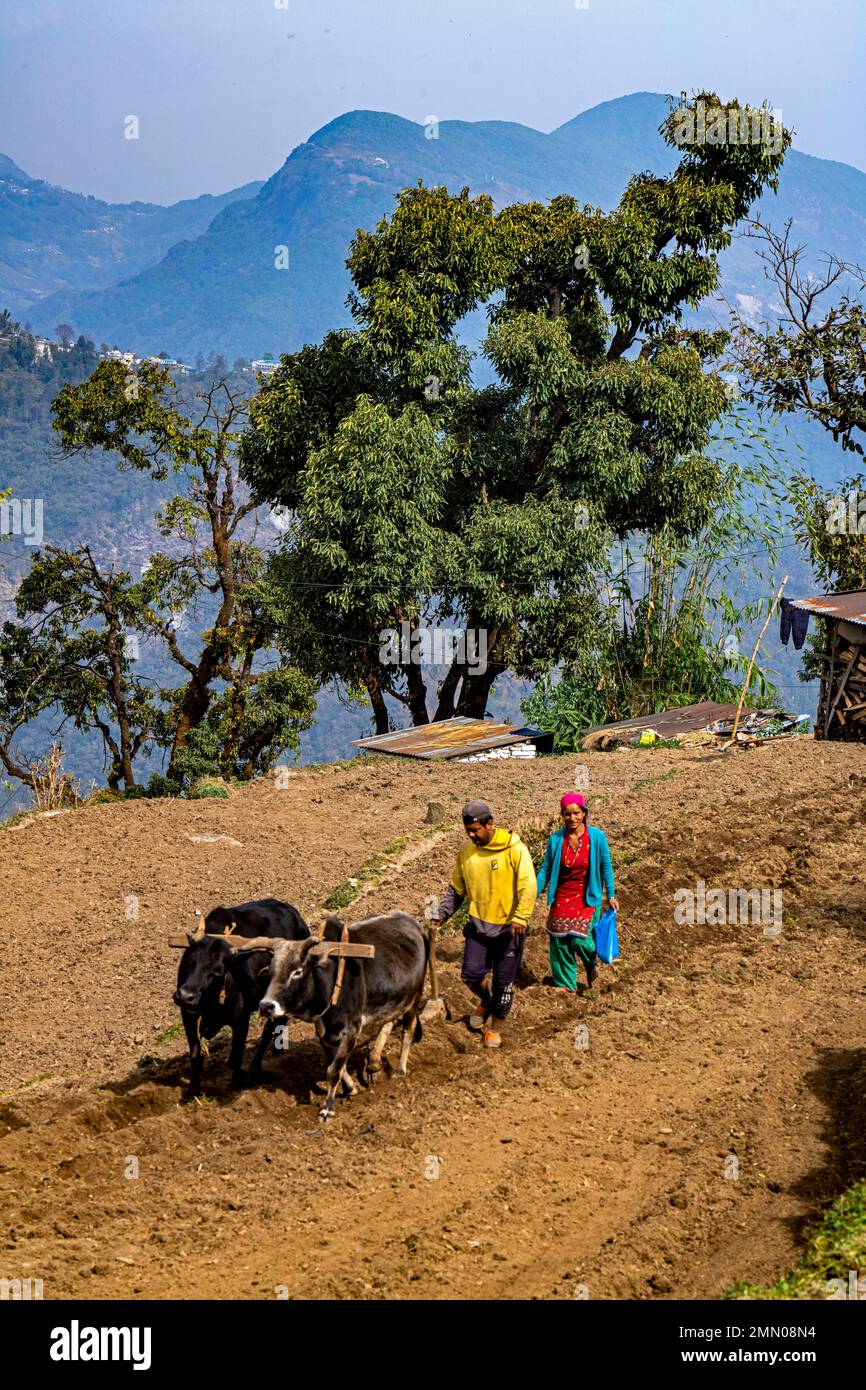 Nepal, Parbat District, Bajung Stock Photo - Alamy