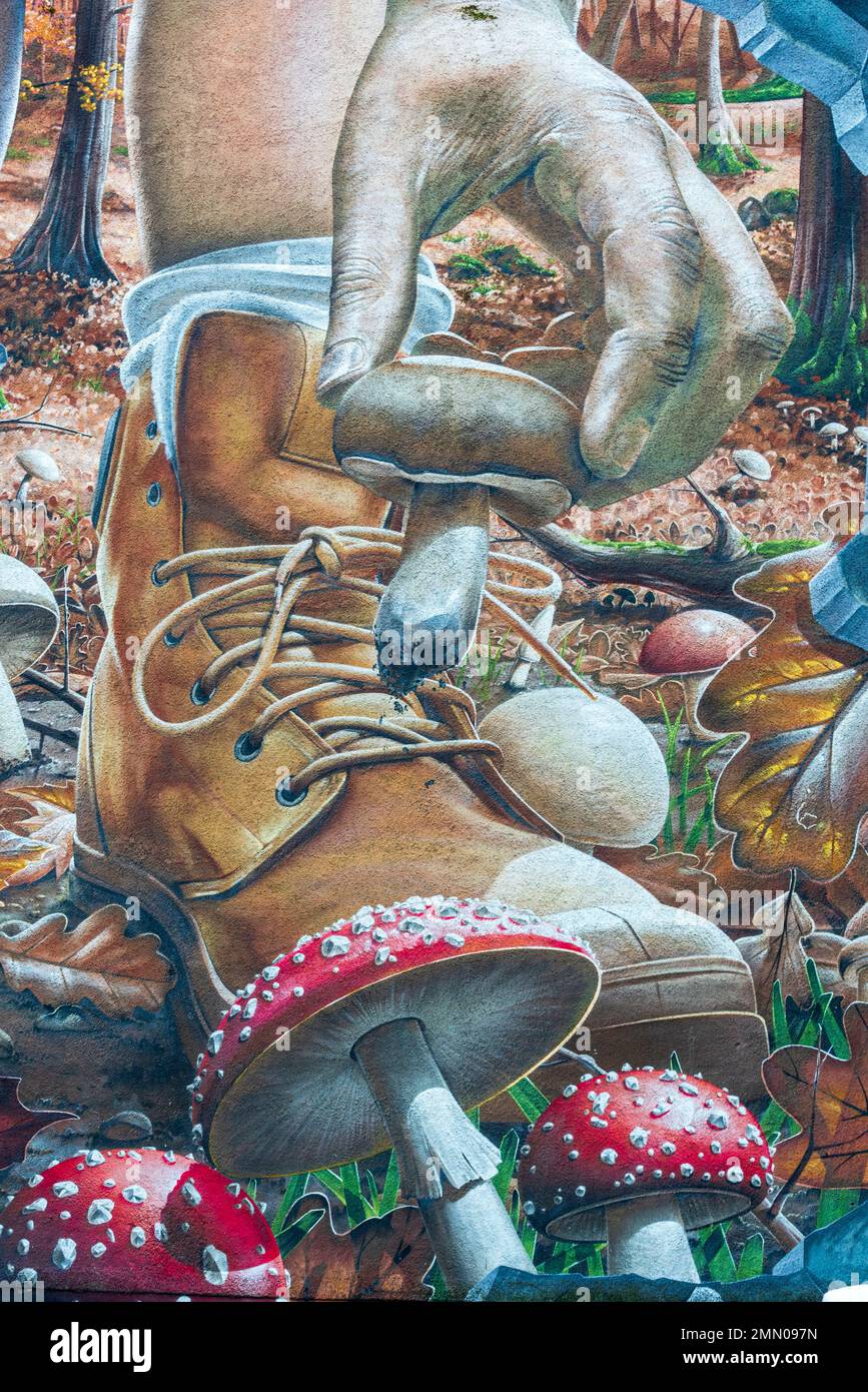 United Kingdom, Scotland, Glasgow, City Centre Mural Trail, mural ...