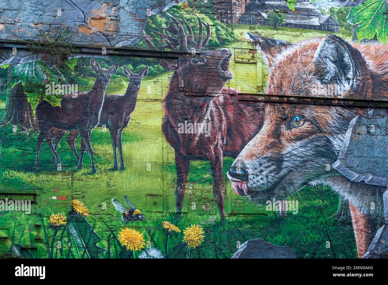 United Kingdom, Scotland, Glasgow, City Centre Mural Trail, mural ...