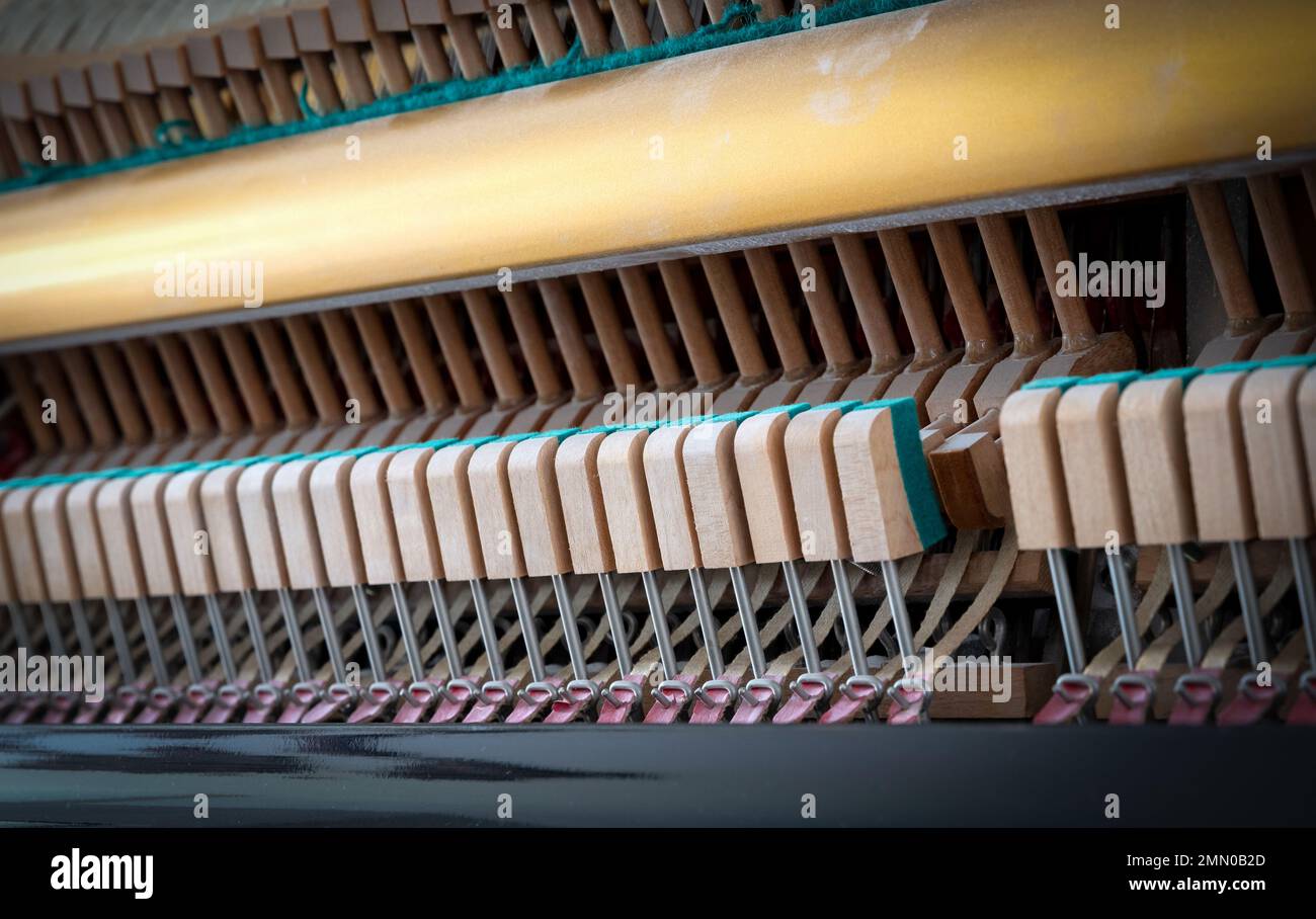 Details of piano mechanism gavel - string, pins and hammers, piano from ...