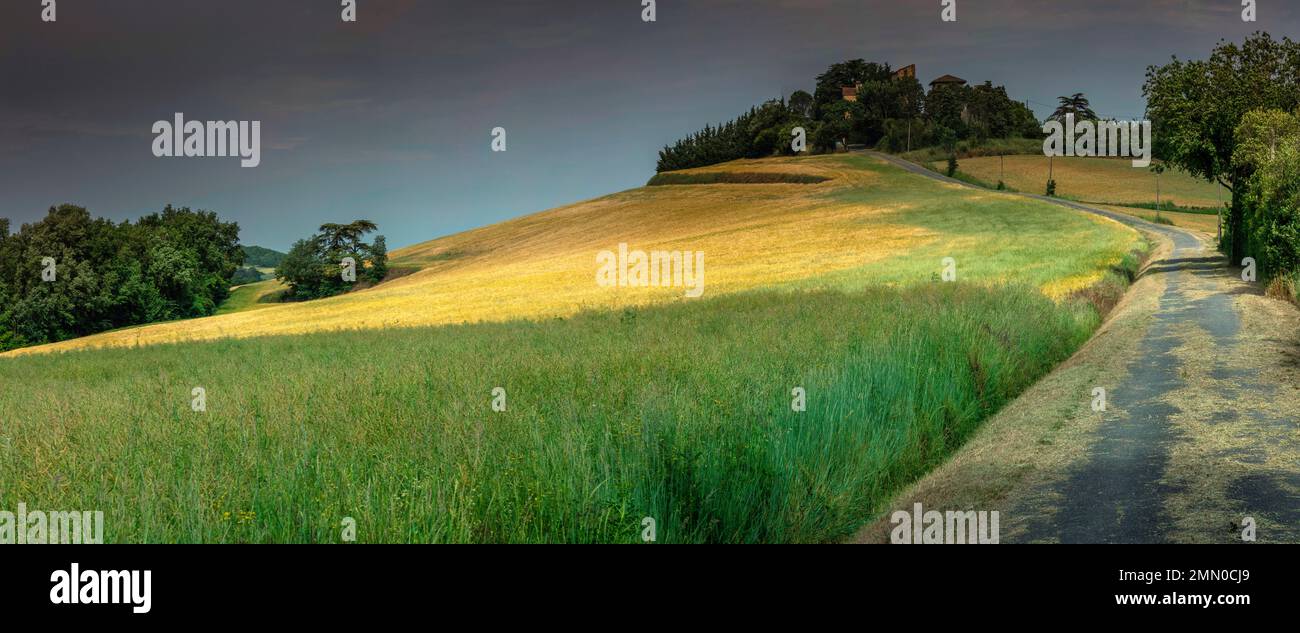 France, Aude, Magrin, castle of Magrin, castle at the end of a road in ...