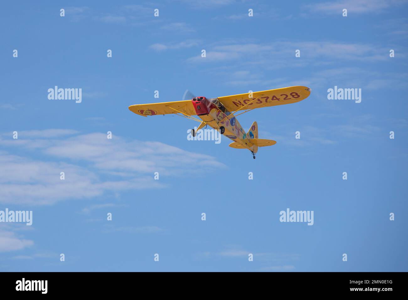 Kent Pietsch, piloting his Interstate Cadet, performs aerobatics during ...