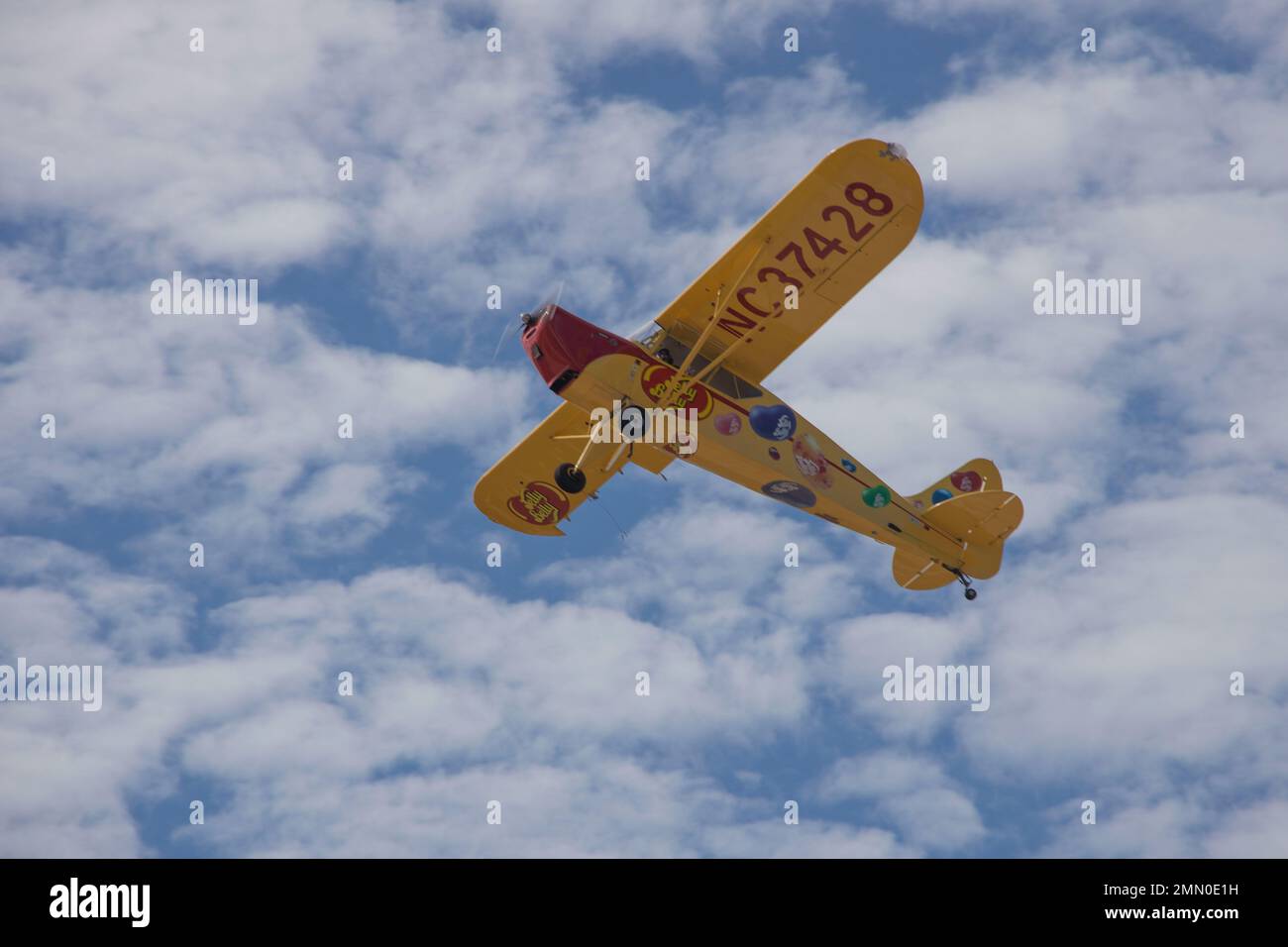 Kent Pietsch, piloting his Interstate Cadet, performs aerobatics during ...