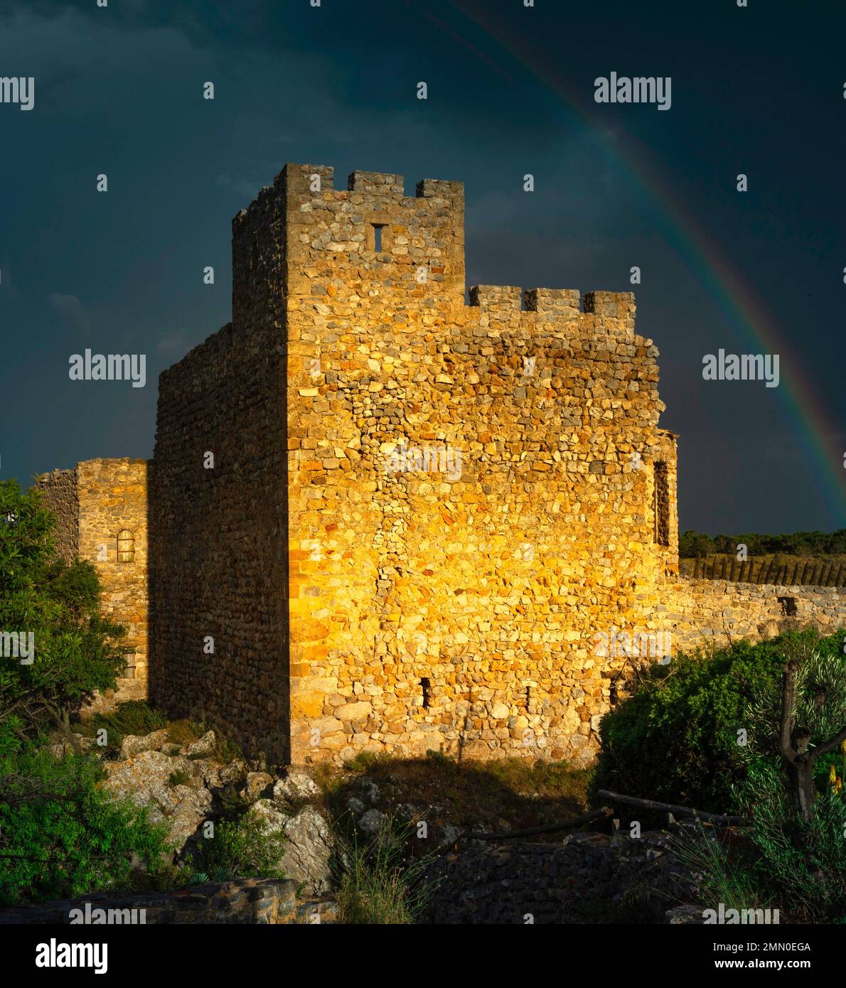 France, Aude, Regional Natural Park of Narbonne in the Mediterranean ...