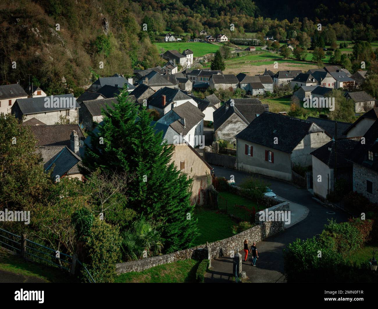 France, Pyrenees Atlantiques, Bearn, Castet, National Nature Reserve of ...