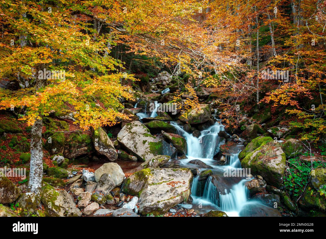 France, Pyrenees Atlantiques, Bearn, Aspe Valley, Urdos, landscape of a ...