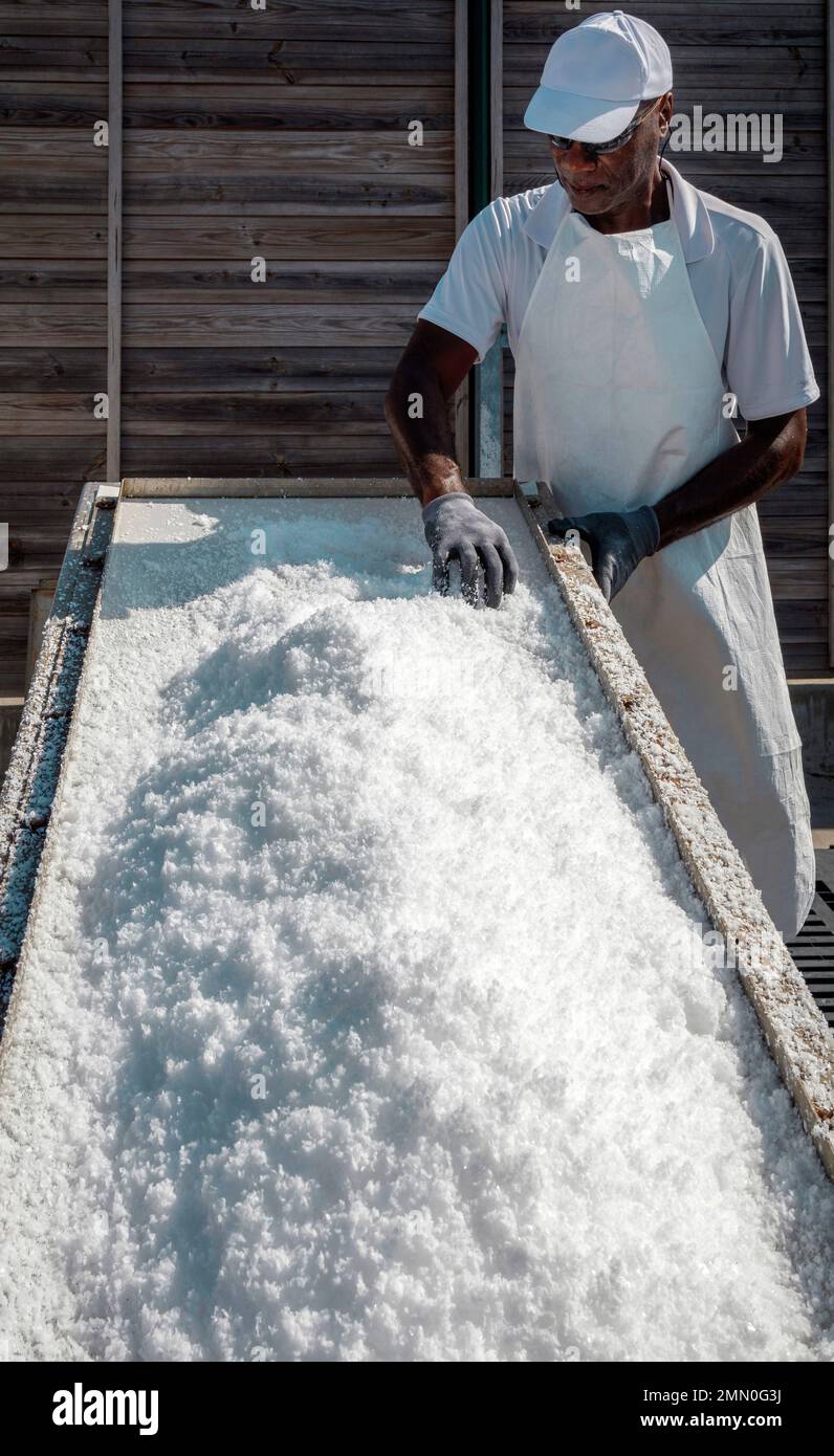 France, Pyrenees Atlantiques, Bearn, Salies de Bearn, Salt factory ...