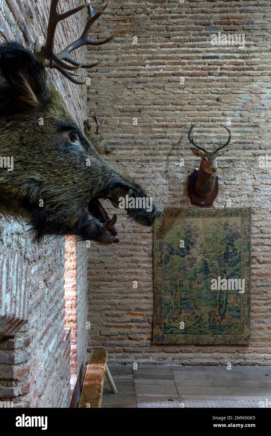 France, Pyrenees Atlantiques, Bearn, Montaner, castle of Montaner ...