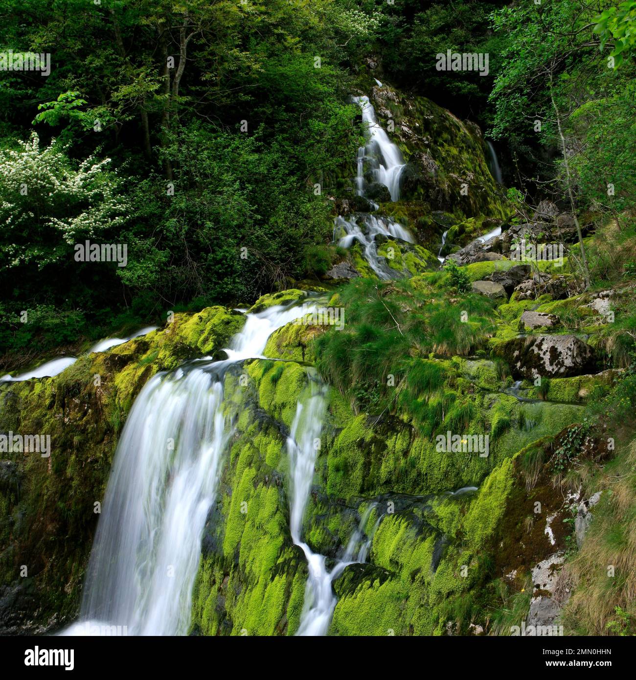France, Pyrenees Atlantiques, Bearn, Bedous, waterfalls on a mountain ...