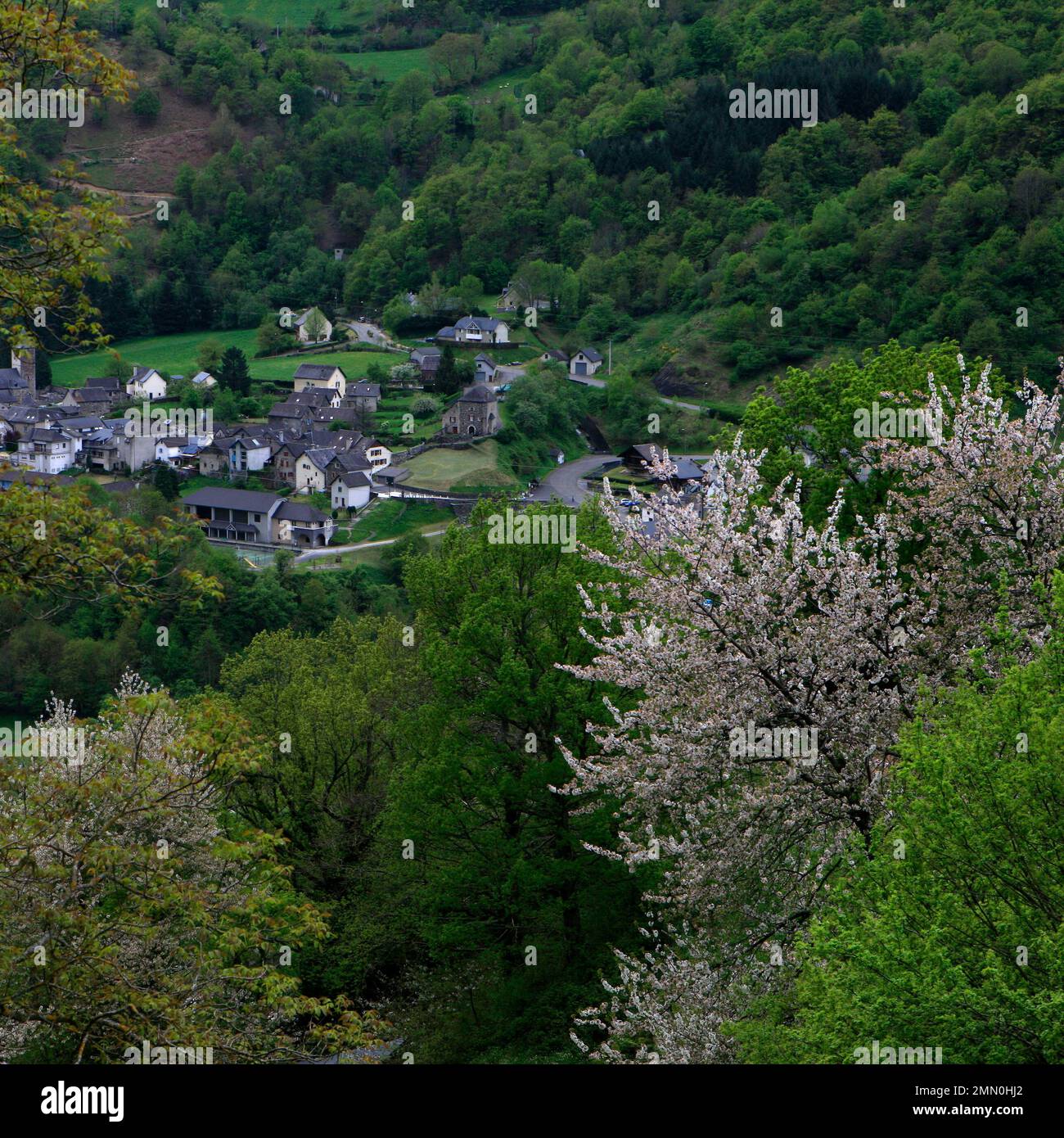 France, Pyrenees Atlantiques, Bearn, Bedous, mountain hamlet in lush ...