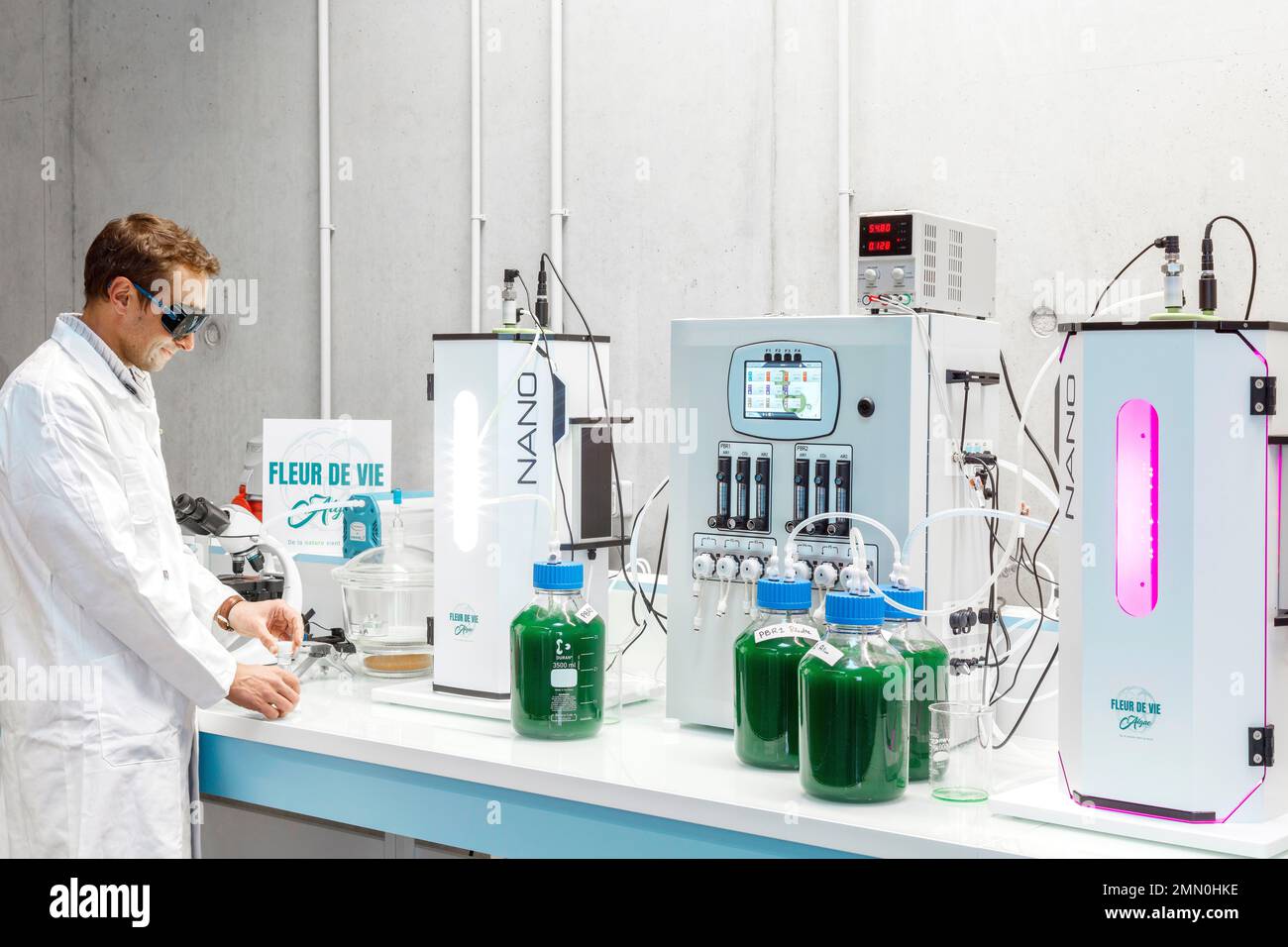 France, Pyrenees Atlantiques, Bearn, Miossens, Activity Park, Flower of ...