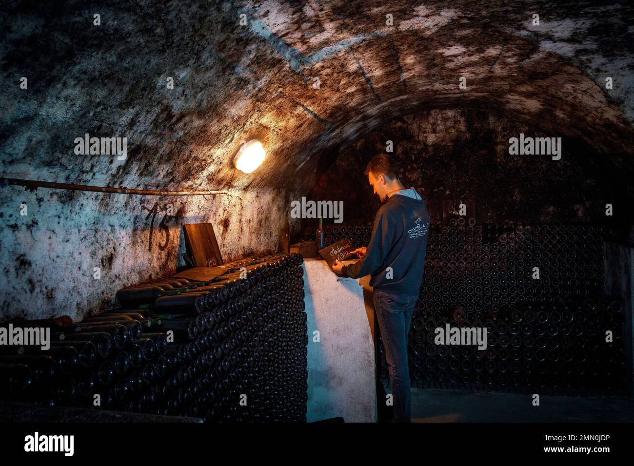 France, Pyrenees Atlantiques, Bearn, Lembeye, Doleris cellar, cellar ...