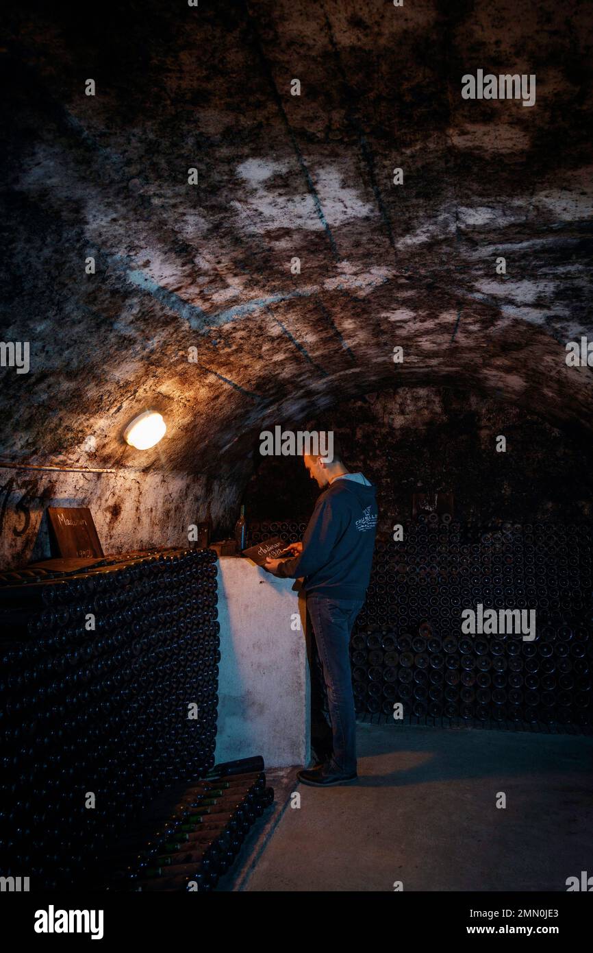 France, Pyrenees Atlantiques, Bearn, Lembeye, Doleris cellar, cellar ...