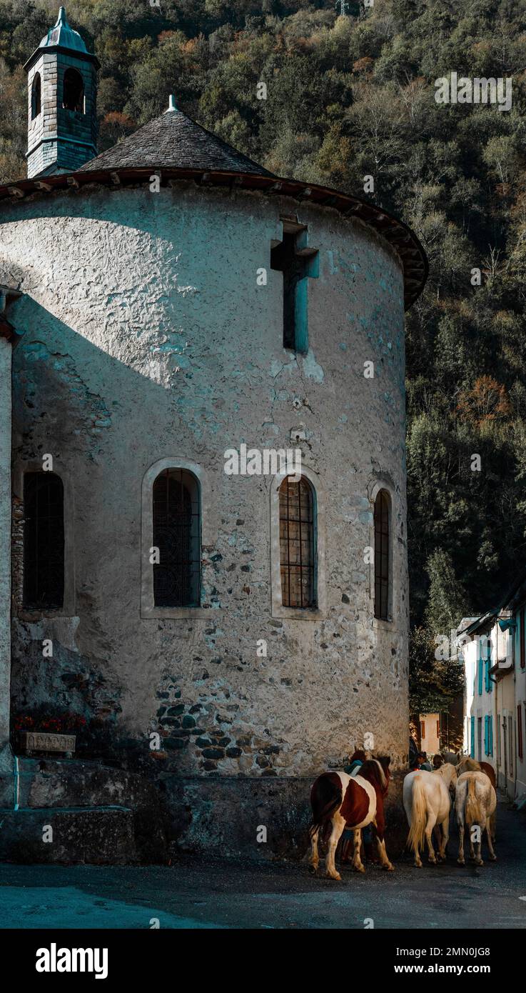 France, Pyrenees Atlantiques, Bearn, Sarrance, horses at the foot of ...