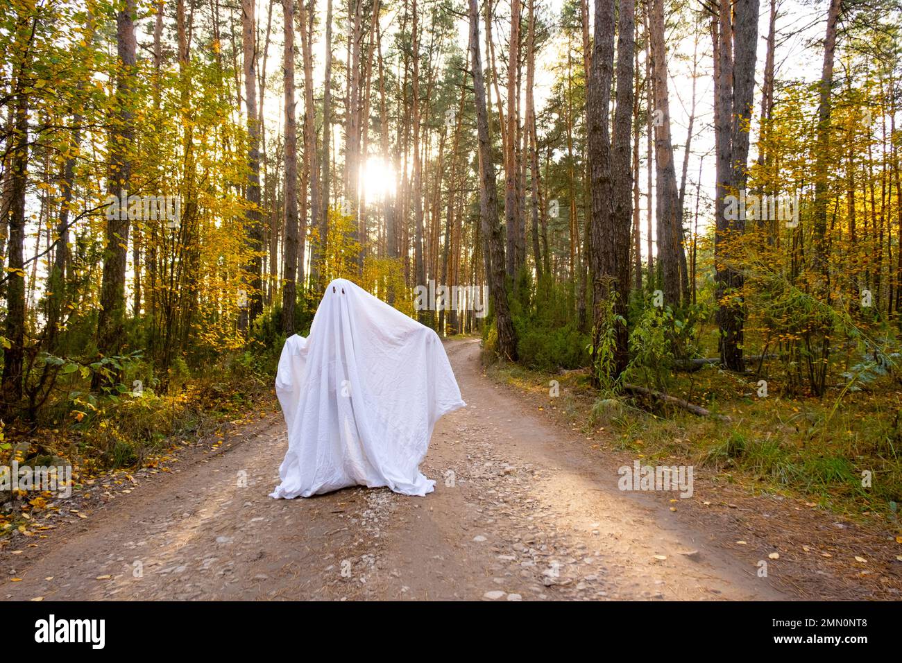 A child in sheets with cutout for eyes like a ghost costume in an ...