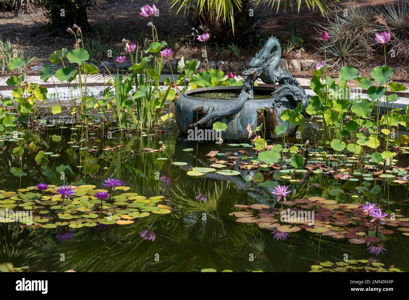 France, Alpes-Maritimes, Menton, district of Garavan, Maria Serena ...