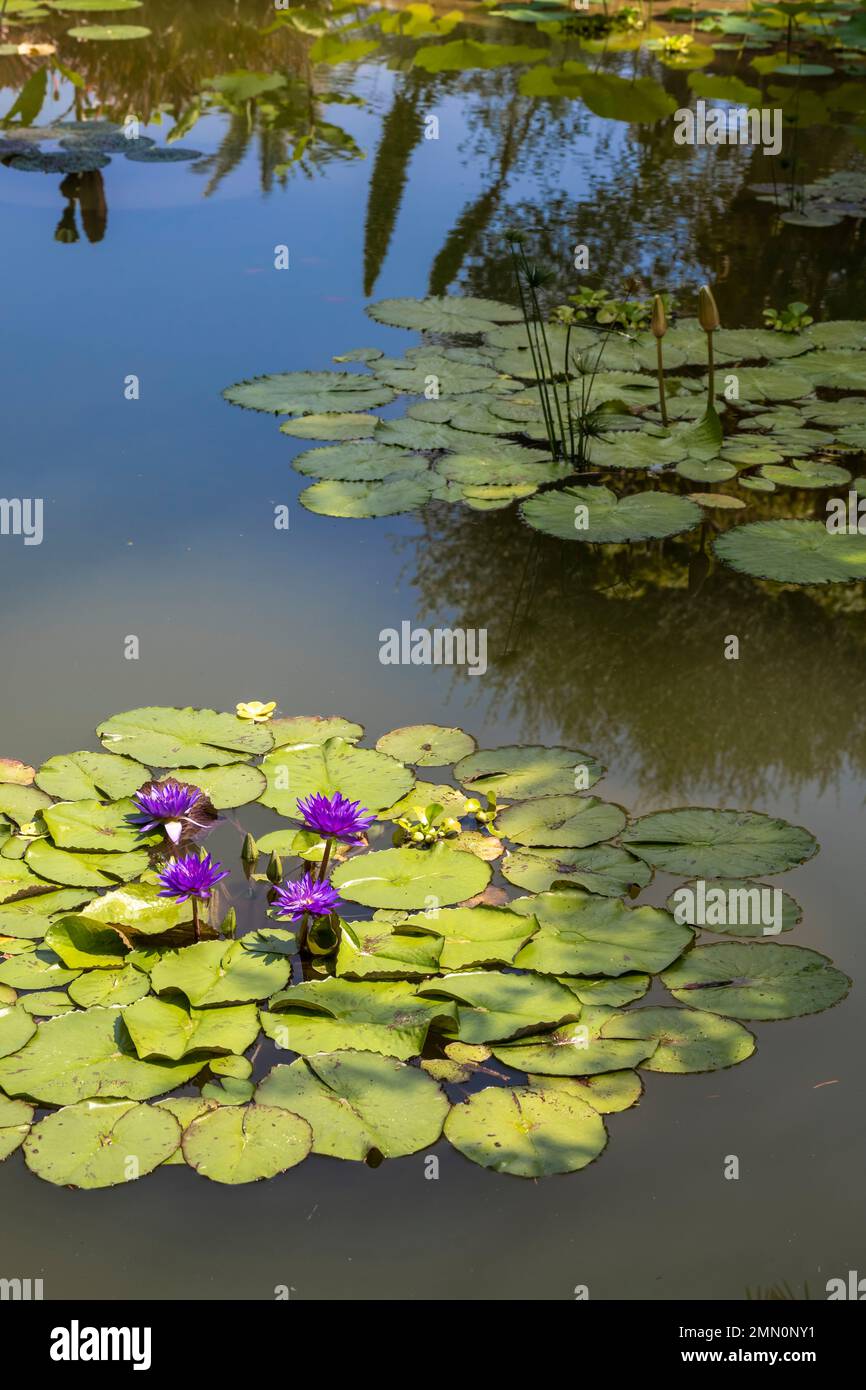 Val rahmeh botanical garden hi-res stock photography and images - Alamy