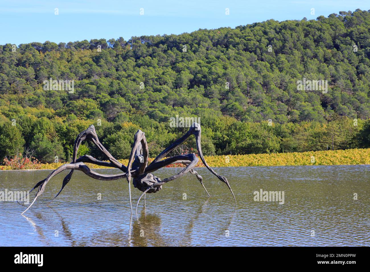 France, Bouches du Rhone, Le Puy Sainte Reparade, Chateau La Coste ...