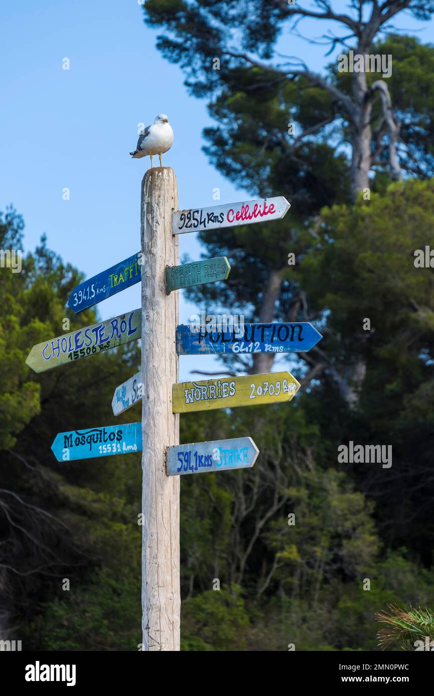 Marguerite Island Cannes Restaurant at Jean Partain blog