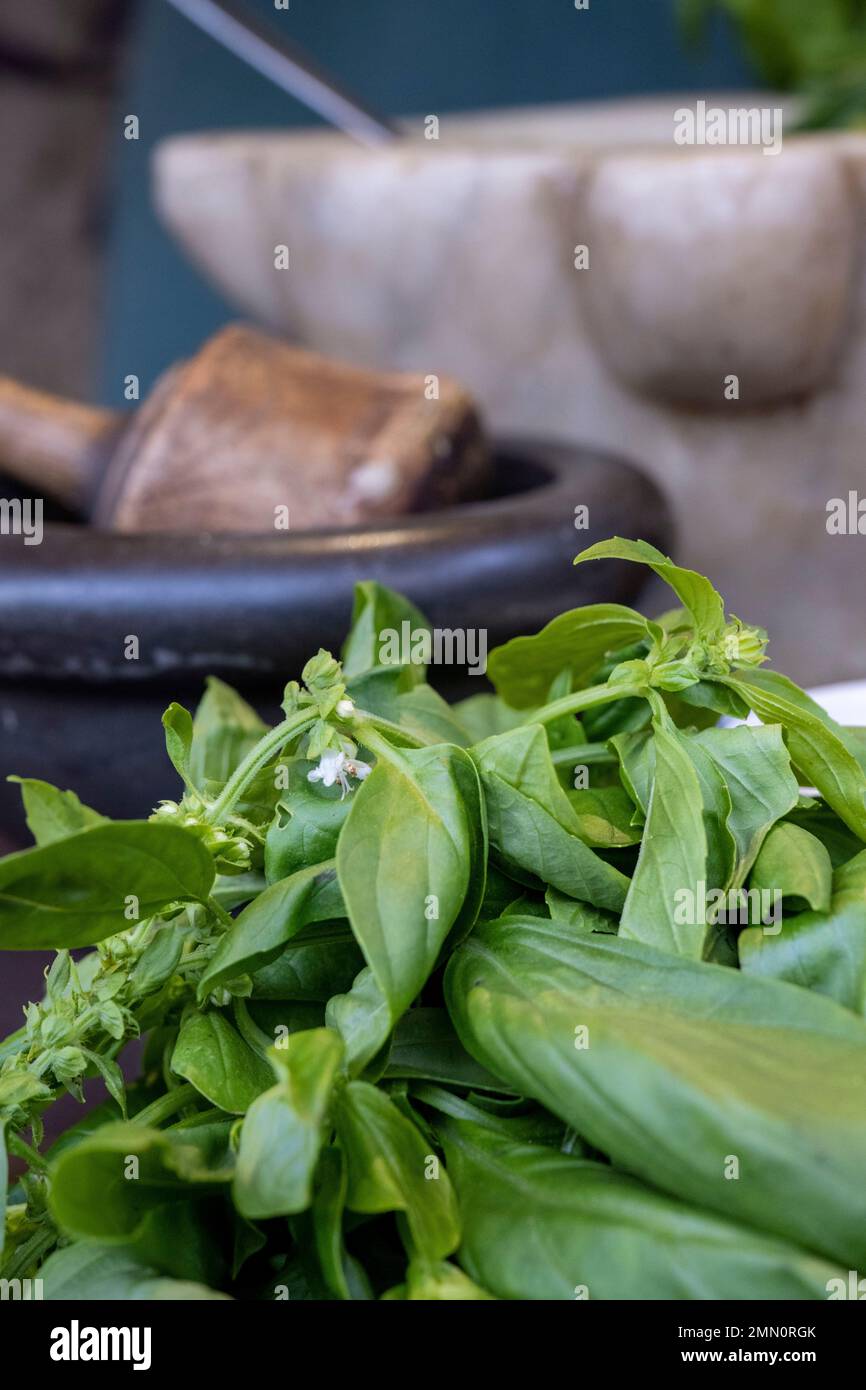 France, Alpes-Maritimes, Nice, Lou Balico restaurant specializing in ...