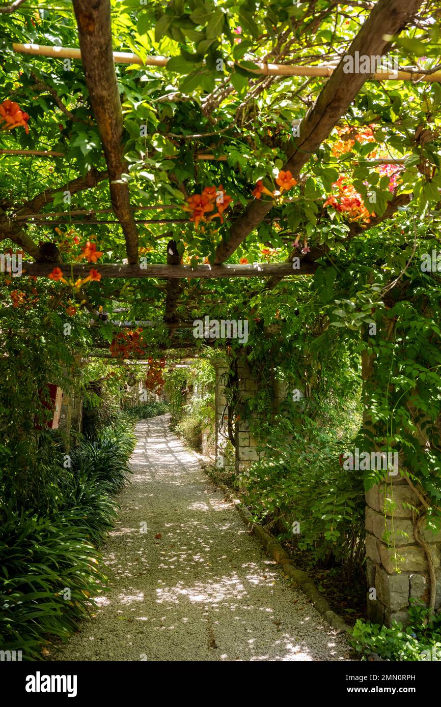 Italy, Liguria, Province of Imperia, Ventimiglia, Hanbury Botanical ...