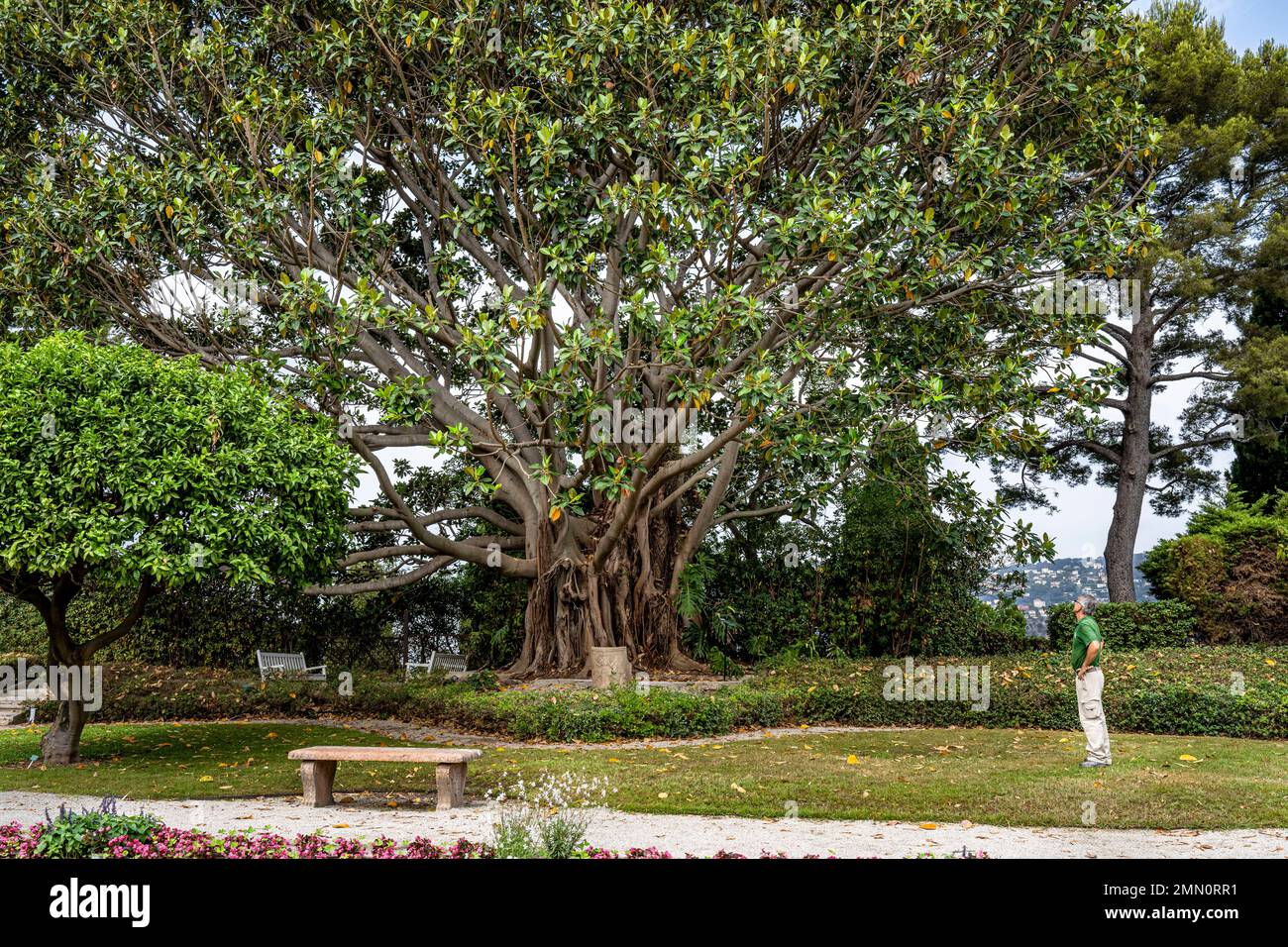France, Alpes-Maritimes, Saint Jean Cap Ferrat, Villa and Gardens ...