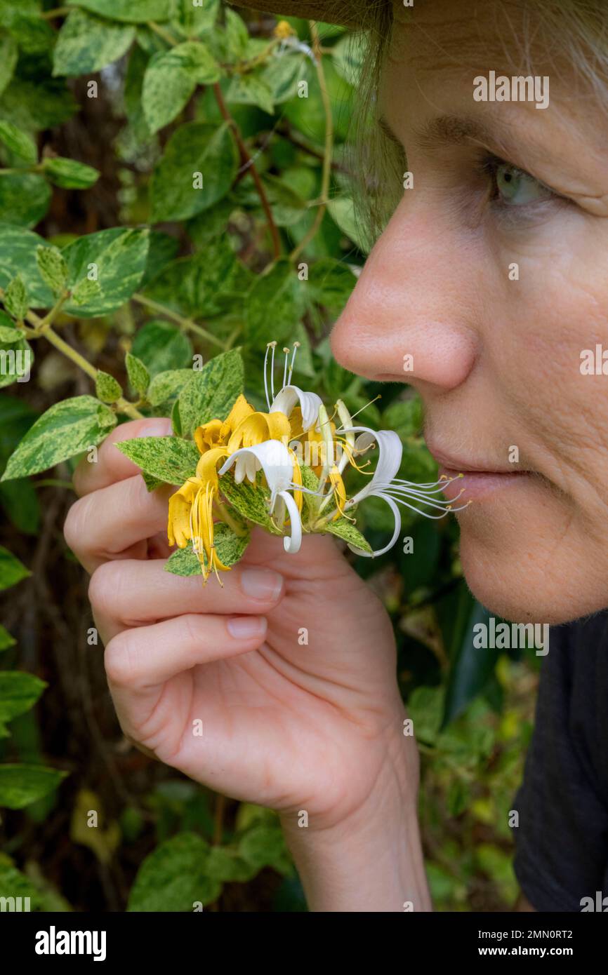France, Alpes-Maritimes, Mouans-Sartoux, Gardens of the International ...