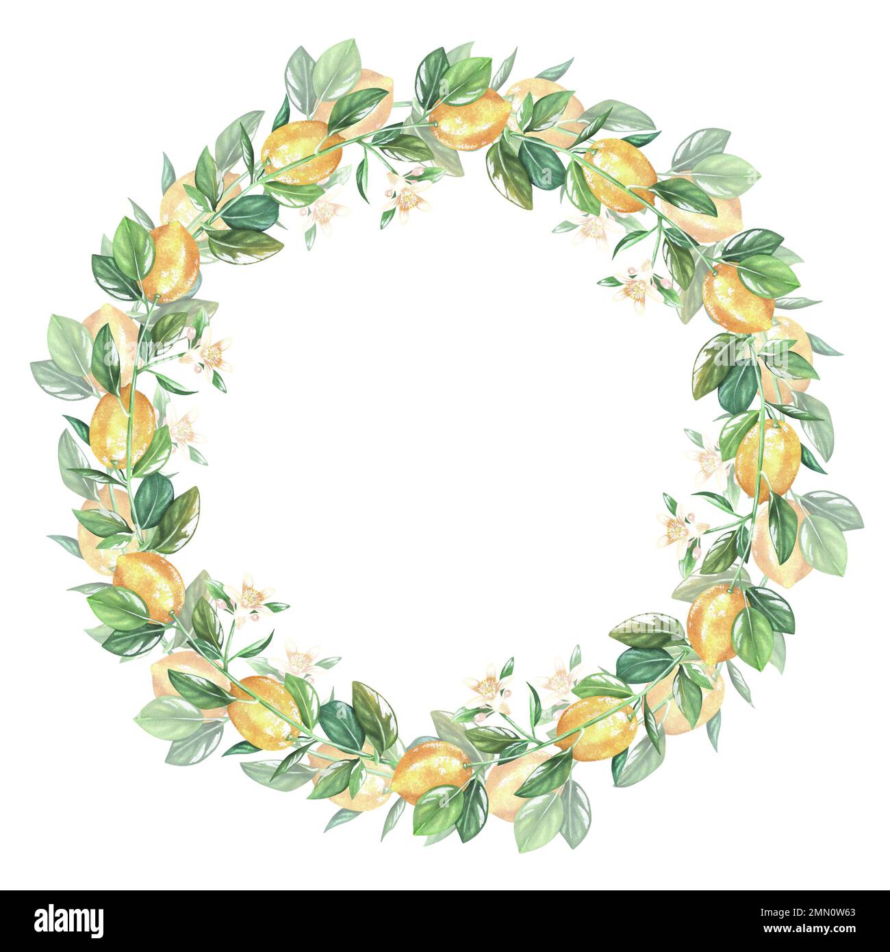 A wreath of lemon sprigs with flowers. Watercolor illustration ...