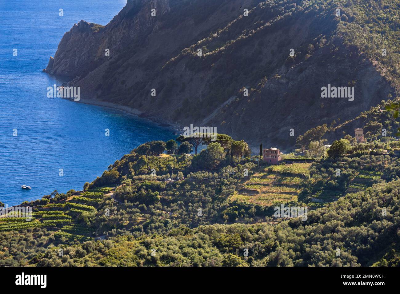 Italy, Liguria, Cinque Terre National Park listed as World Heritage by ...