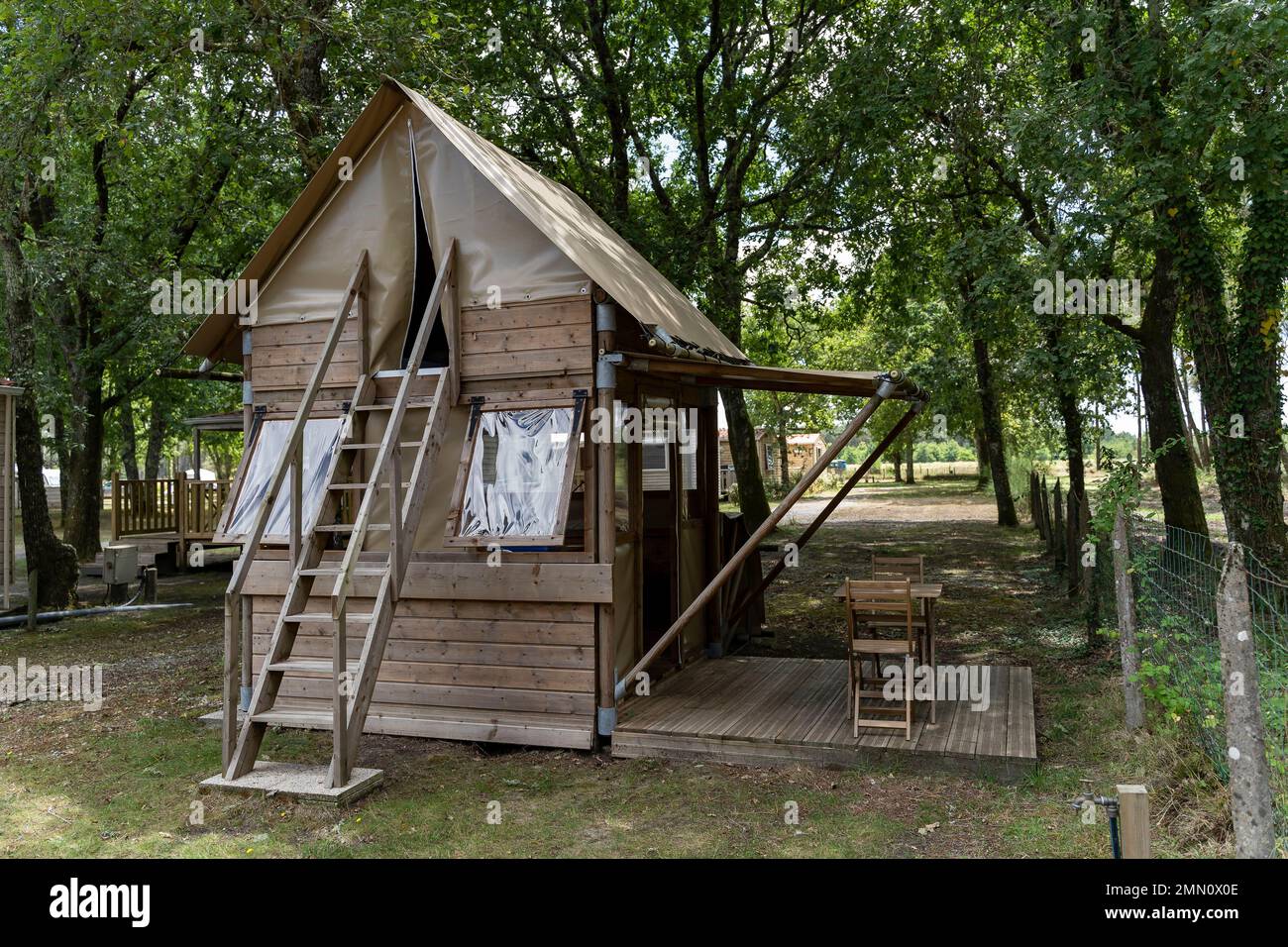France, Landes, Lesperon, Landes de Gascogne Regional Natural Park ...