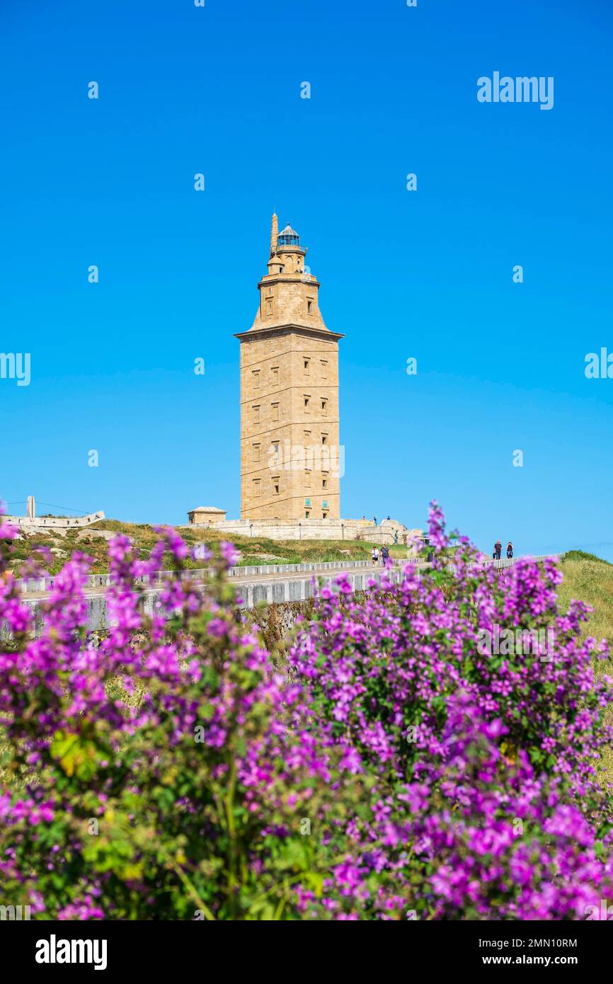 Spain, Galicia, A Coruña, Tower of Hercules, a Roman lighthouse built ...