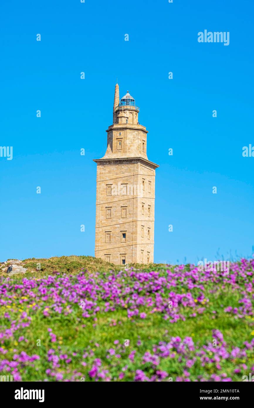 Spain, Galicia, A Coruña, Tower of Hercules, a Roman lighthouse built ...