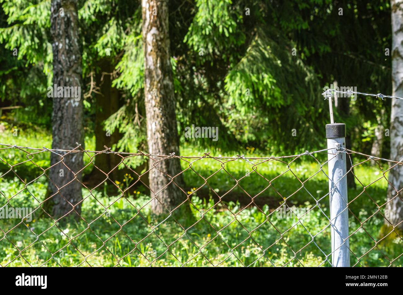 Signs of burglary: Burglars and thieves cut the top barbed wire of a ...