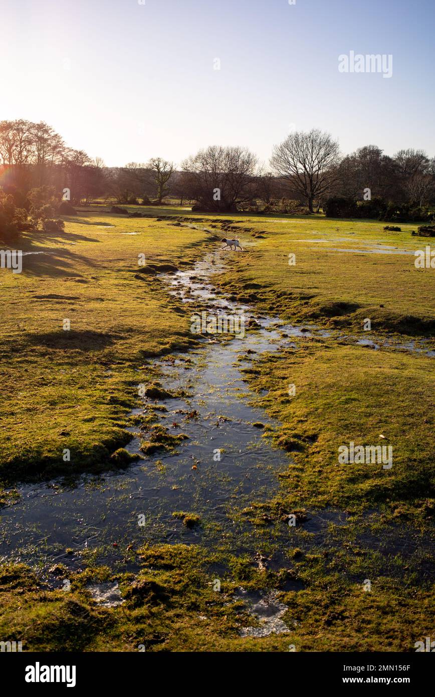 Water lifecycle hi-res stock photography and images - Alamy