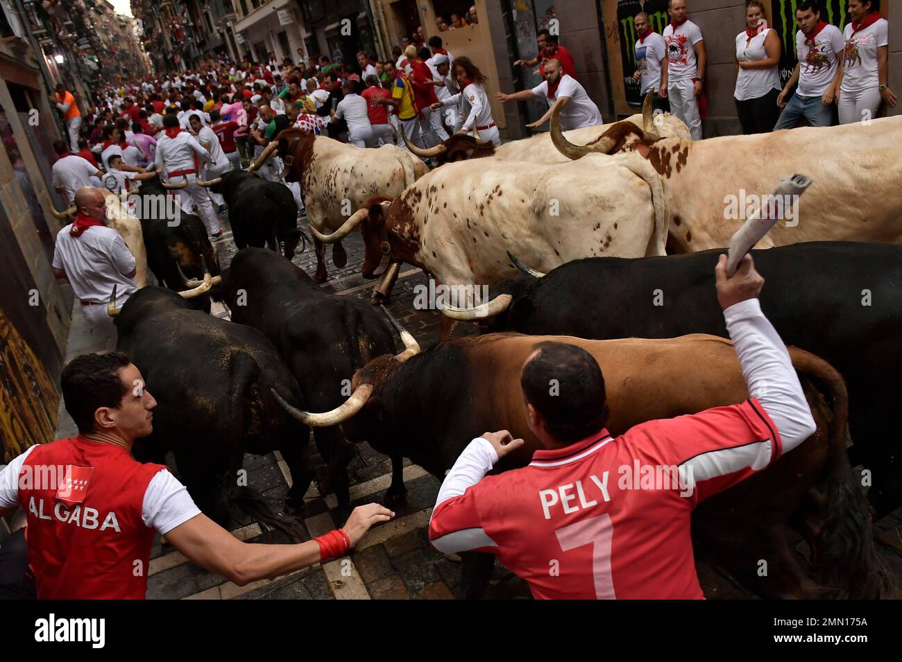 Revellers run next to fighting bulls from the Victoriano del Rio ranch ...