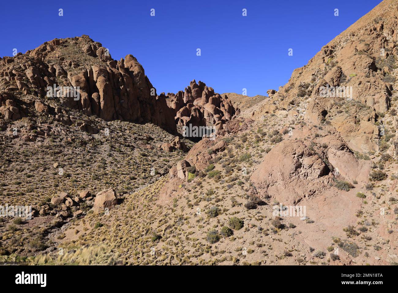 Landscape of the Puna Argentina Stock Photo - Alamy