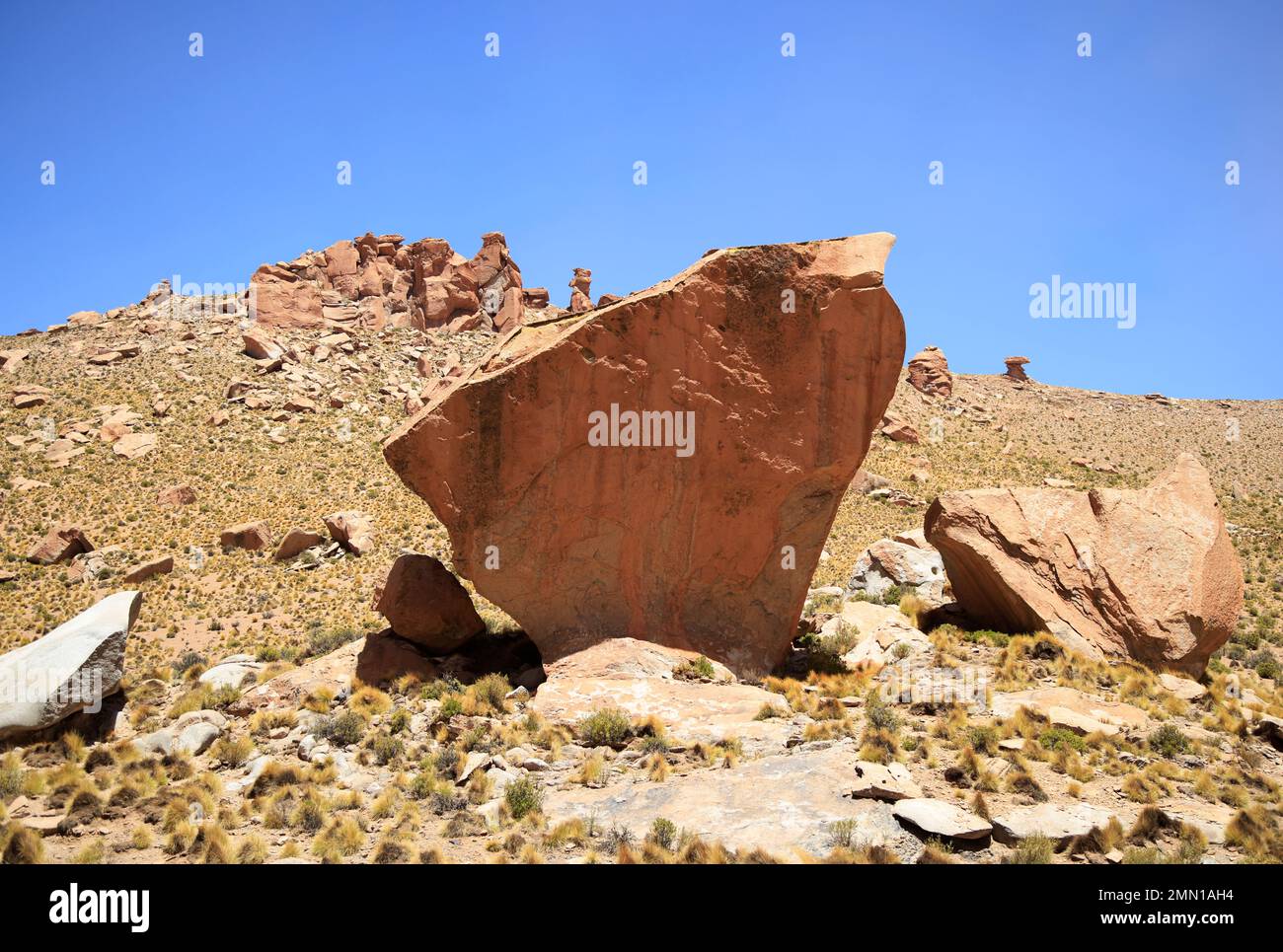 Landscape of the Puna Argentina Stock Photo - Alamy