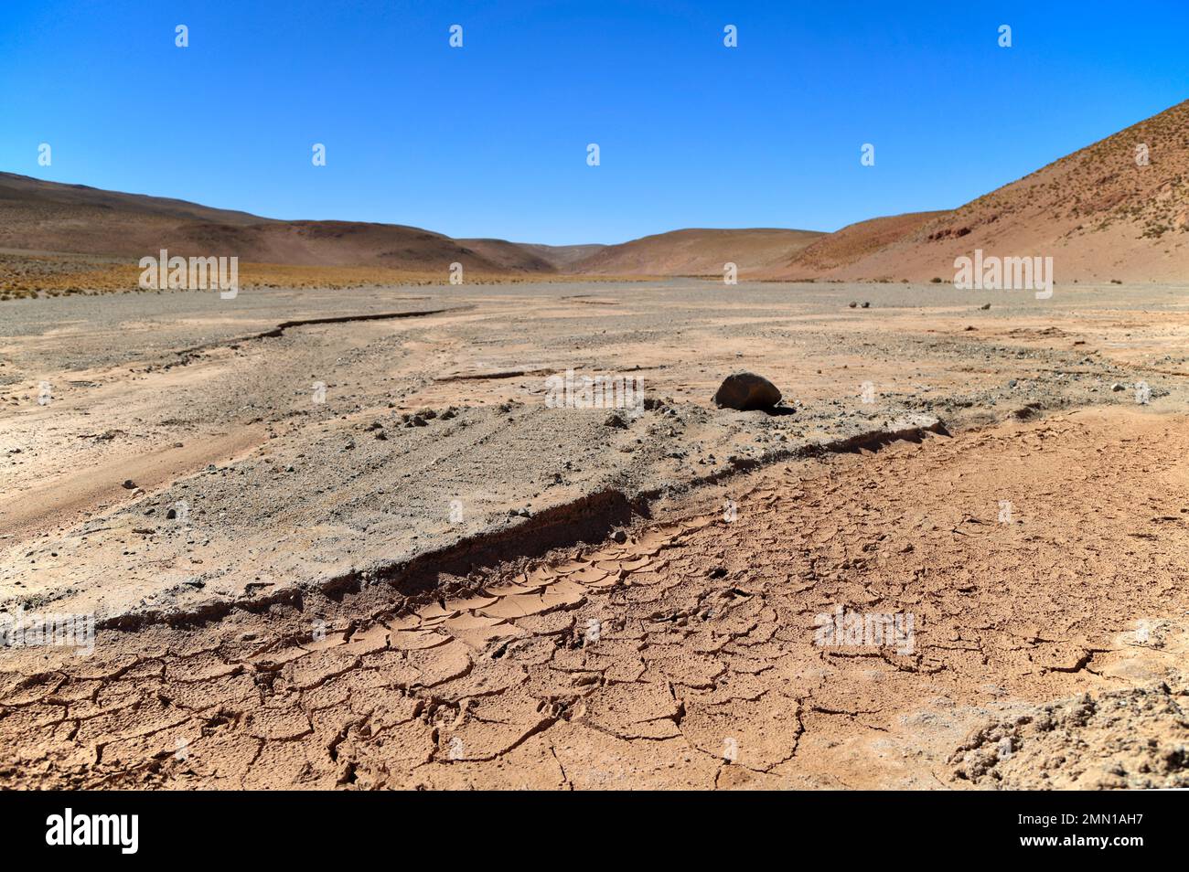 Landscape of the Puna Argentina Stock Photo - Alamy