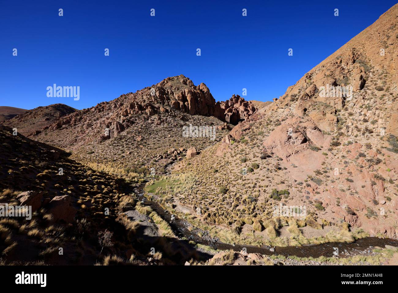 Landscape of the Puna Argentina Stock Photo - Alamy