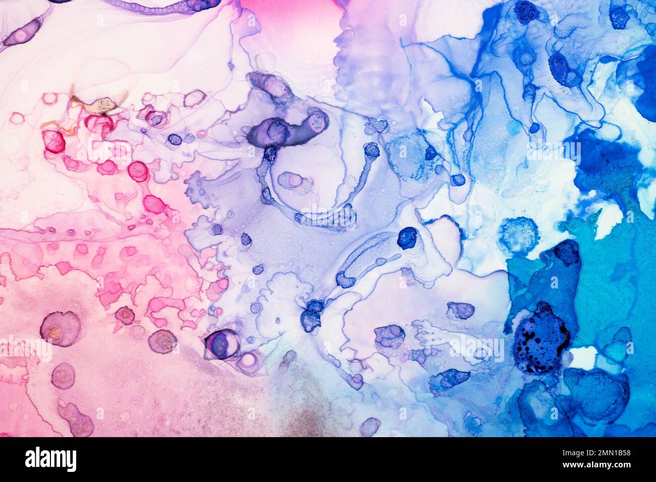 Abstract bright red pink and purple alcohol ink paint drops and ...