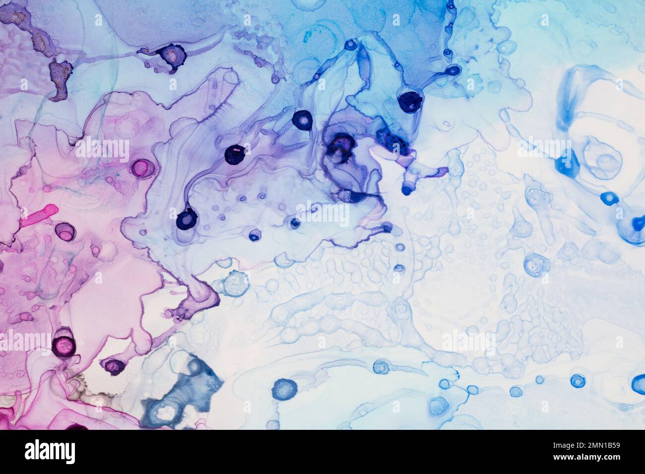 Abstract bright red pink and purple alcohol ink paint drops and ...