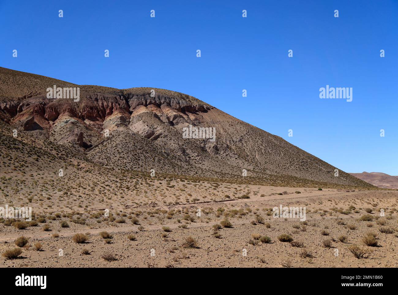 Landscape of the Puna Argentina Stock Photo - Alamy