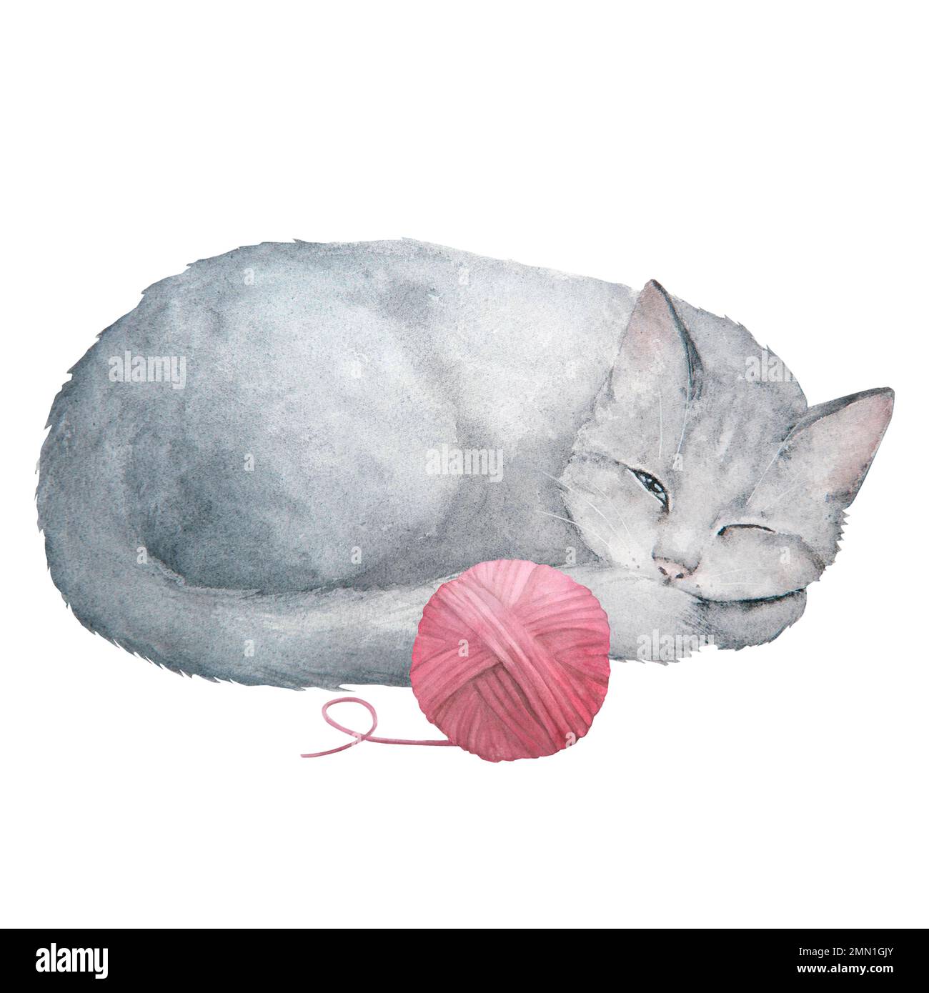 Watercolor illustration of cute sleeping gray cat isolated on white ...