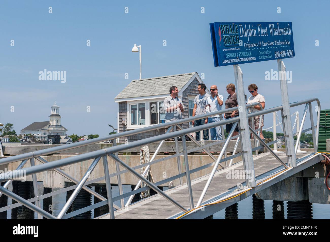 Dolphin fleet whalewatch hi-res stock photography and images - Alamy