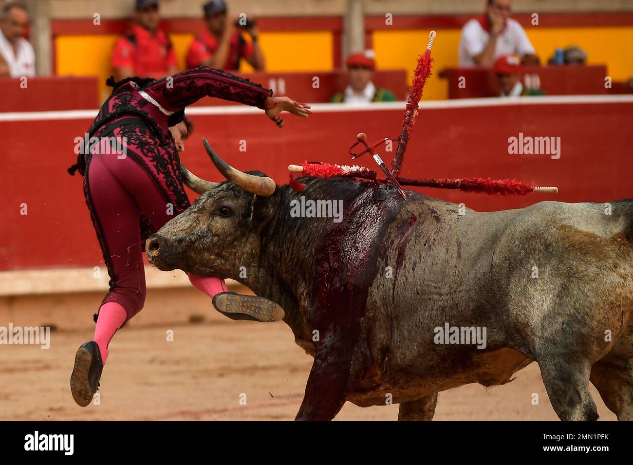 Spanish bullfighter Javier Castano is gored by a Jose Escolar's bull in ...