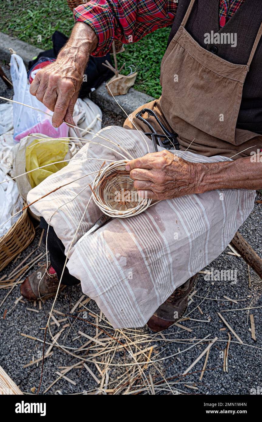 Elderly person's hands busy building a basket by weaving branches. The ...