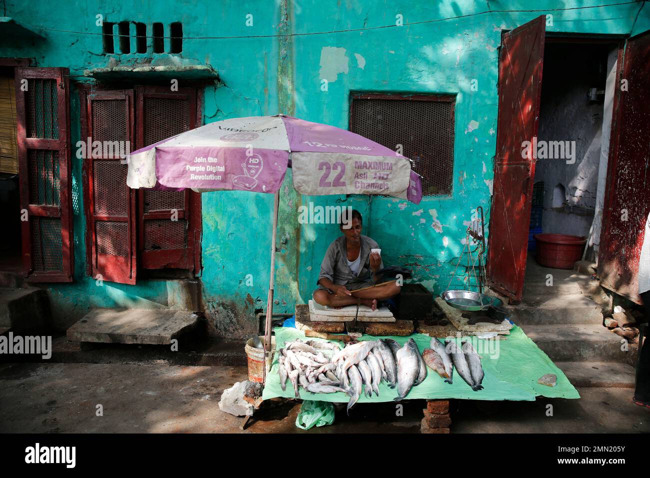 A fish vendor waits for customers at his roadside stall in Lucknow, in ...