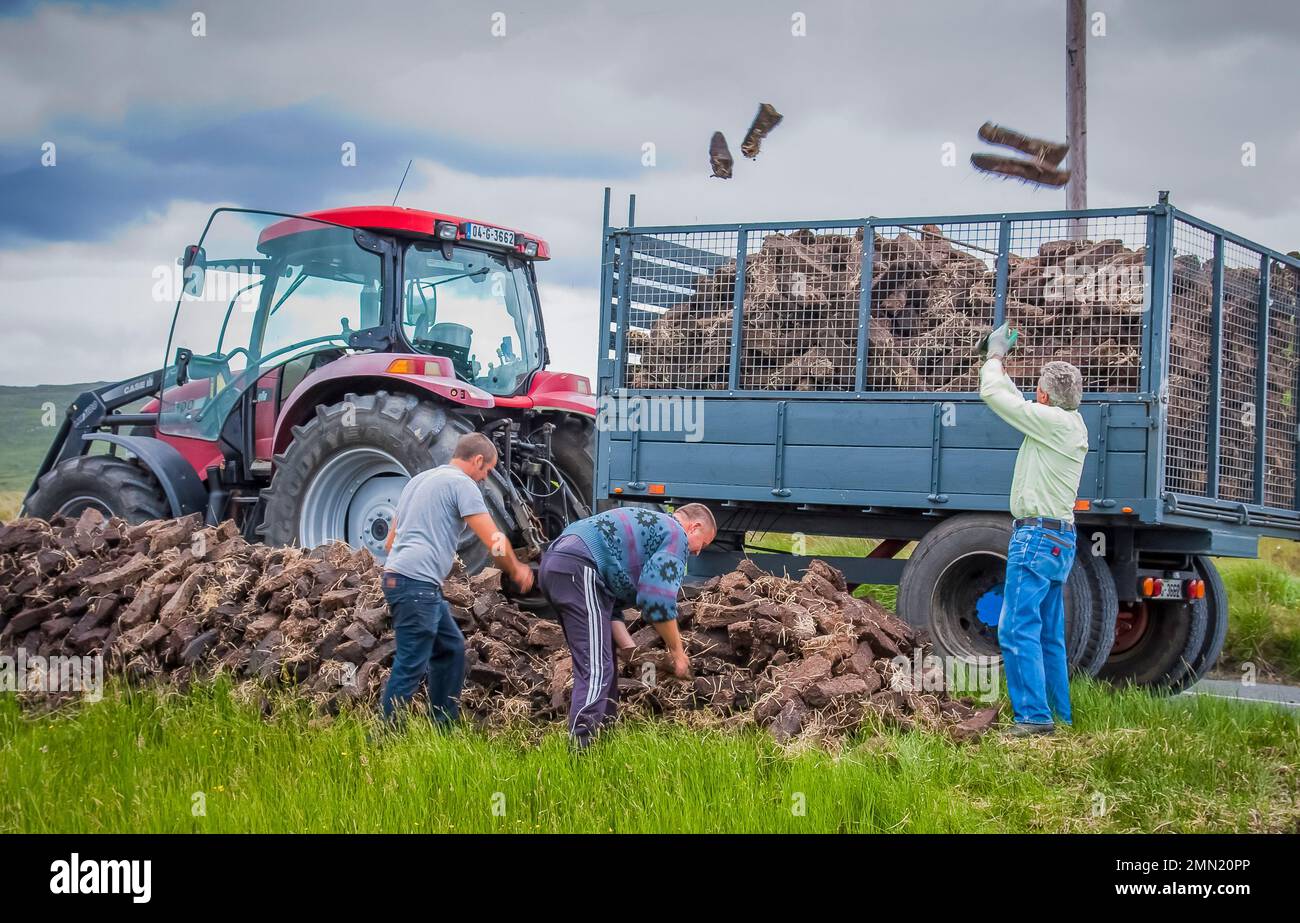 Ireland, Clifden. Collecting the harvested peat for transportation ...
