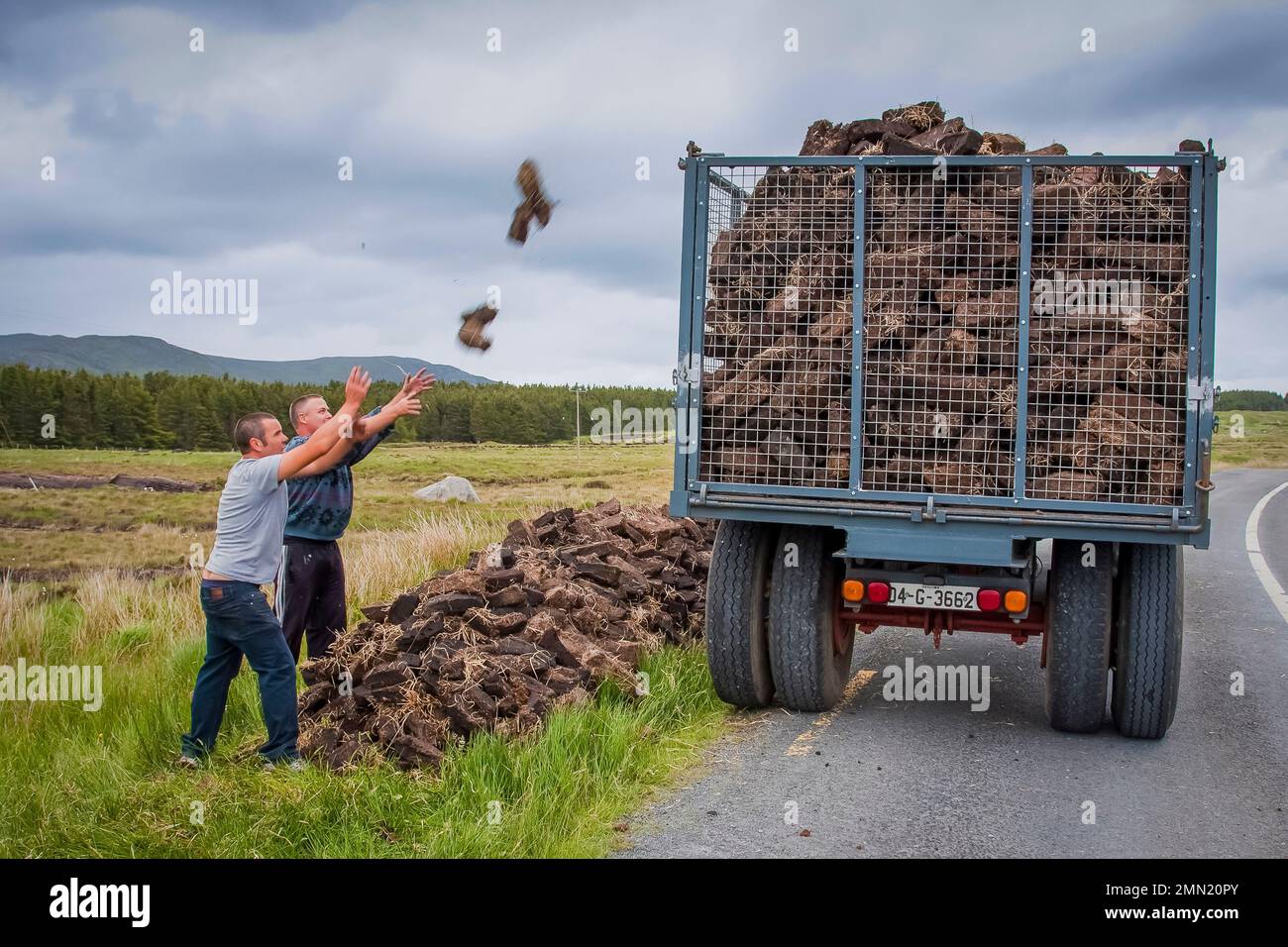 Ireland, Clifden. Collecting the harvested peat for transportation ...